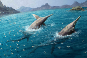 Girl’s Fossil Find Helps to Identify New Prehistoric Species - Teaching ...